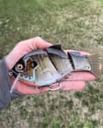 Jeto Lure by Jeto Lure Co - Swimbaits on Tackle.net