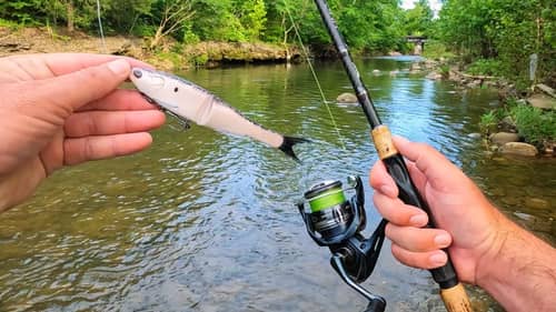 Tackle Videos - Watch and learn from the best fishing videos