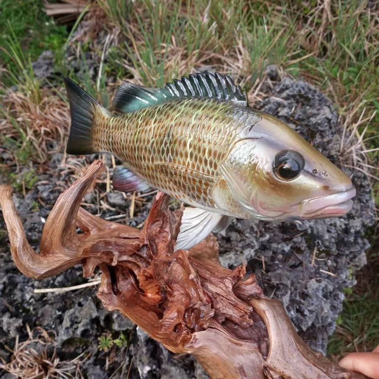 Yohan Mangrove Snapper by Yohan Custom Lures - Accessories on Tackle.net